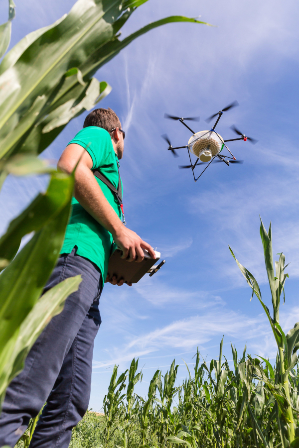 Green Bonds: BayWa AG: Rekordergebnis im Jahr 2022, BayWa bestätigt ...